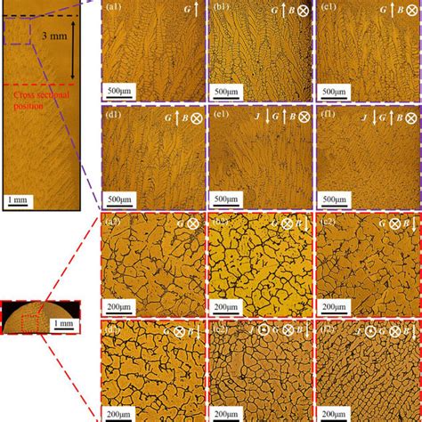 Longitudinal And Cross Section Microstructures Of Sn 10 Wt Bi Alloys