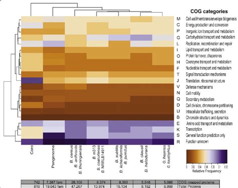 Heat Map Comparison Of The Core Genome Pan Genome And Bacillus Groups