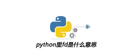 python的f是什么意思 python里fd是什么意思 csdn博客