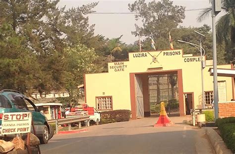 Estadounidenses Fueron Acusados De Torturar A Un Niño En Uganda Ahora