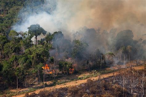 Fotos Contam História Da Destruição Da Amazônia Do Desmatamento às