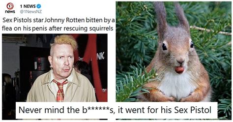 a flea from a squirrel bit johnny rotten right on his sex pistol the