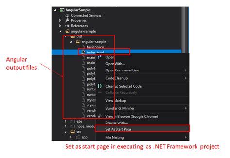 how can i combine angular 9 frontend with asp 4
