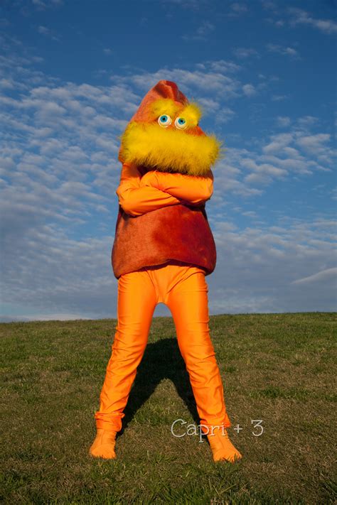 The Lorax Themed Costumes Capri 3