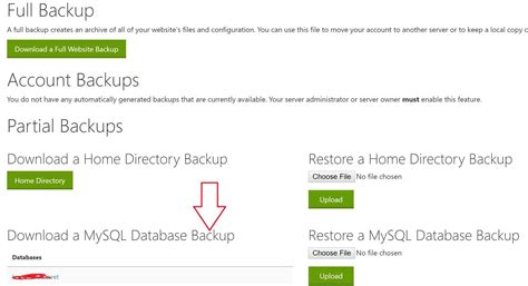 backup wordpress database without phpmyadmin using cpanel h2s media