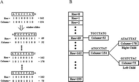Single Nucleotide Polymorphism Mapping Using Genome Wide Unique Sequences