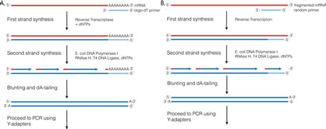 Rna Seqlopedia
