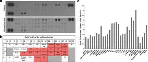 Cytokine And Chemokine Production Was Evaluated Using Proteome Profiler