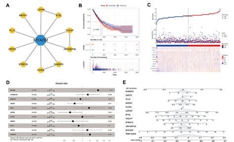 Figure 8 From A Comprehensive Bioinformatic Analysis For Identification