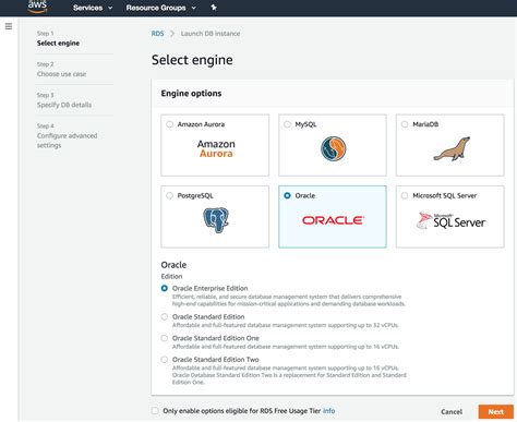linking an amazon oracle rds source database to the delphix dynamic