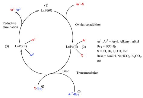 Scheme 10 The Catalytic Cycle Of The Suzuki Miyauya Cross Coupling