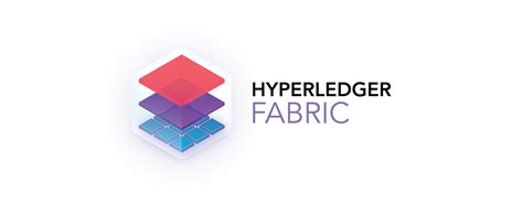 the new features of hyperledger fabric v2 0 devprovider