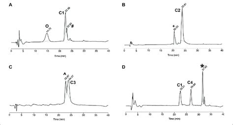 Reverse Phase Hplc Analysis Of A Cpp Pna Conjugate C1 Formed