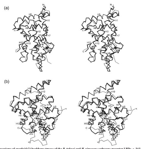 Figure 3 From The X Ray Structure Of A Hemipteran Ecdysone Receptor