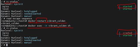 in the docker alpine container the nginx or mariadb or supervisor