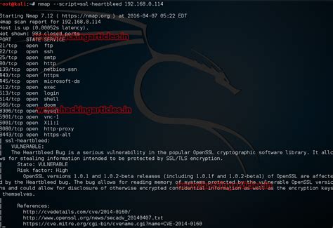 finding vulnerability in server client using nmap