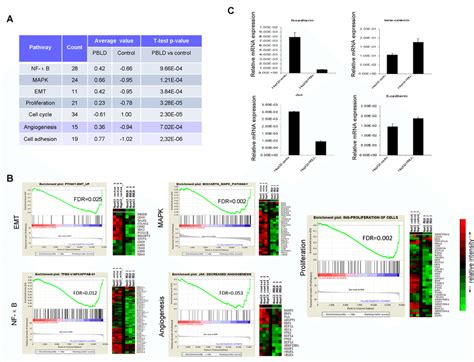 Whole Genome Microarray Analysis Of Gene Expression In Hepg2 Cells