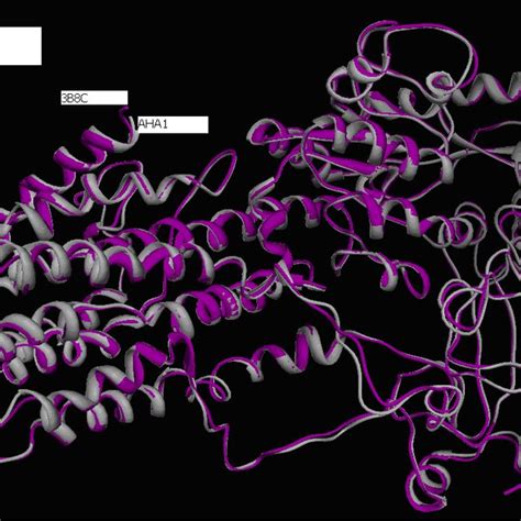 Ribbon Representation Of Modeled Aha1 The α Helices And β Sheets Are