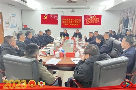 李勇、彭方建、凌晓明等县领导参加人大代表团分组讨论 平江县政府门户网