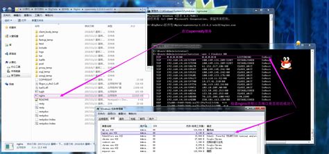 nginx插件之openresty反向代理和日志滚动配置案例 尹正杰 博客园