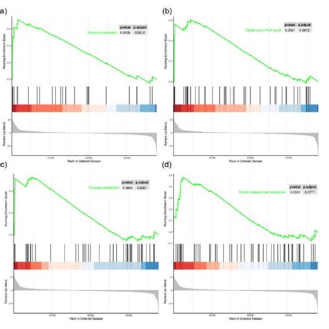 Gene Set Enrichment Analysis Gsea Of Upregulated Pathways In