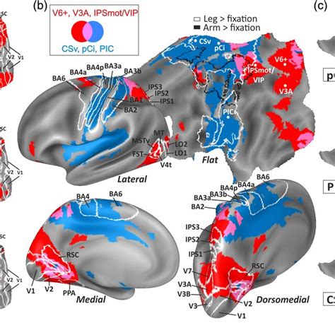 Functional Connectivity Maps Of Egomotion‐related Rois Functional