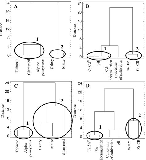 Dendrogram Of Cluster Analysis Including Squared Euclidean Distance And