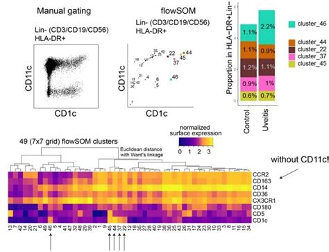 Figures And Data In Transcriptome Network Analysis Implicates Cx3cr1