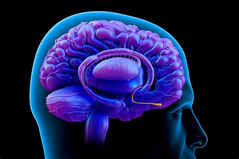 Restoring A Key Brain Rhythm Has The Potential To Help Treat Depression