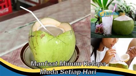 Kamu Wajib Tahu Inilah 8 Manfaat Minum Kelapa Muda Setiap Hari Yang