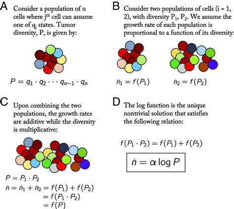 A Schematic Showing The Key Assumptions And Conclusions Of The Model