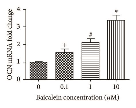 A D Effects Of Baicalein On Gene Expression Of Runx2 Osx Ocn And