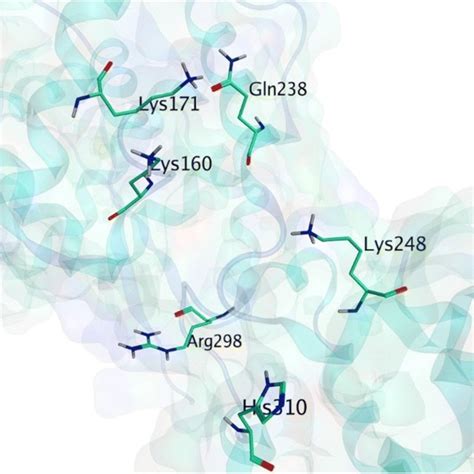 The 3d Structure Of Ebola Nucleocapsid Np Taken From Pdb Id 4z9p