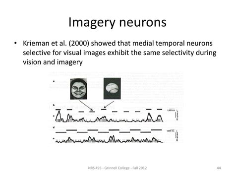 Ppt The Neural Correlates Of Consciousness Powerpoint Presentation