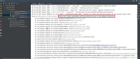 启动报错，不影响系统正常运行，ioexception could not locate executable null bin