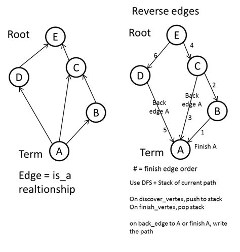 c all paths between two nodes in boost graph library stack overflow
