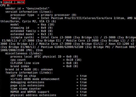 how to check cpu info on linux
