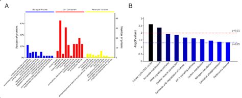 Differentially Expressed Protein Identification And Function Analysis