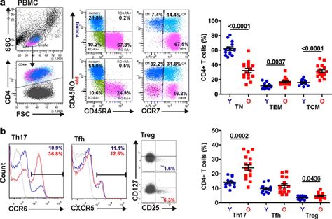 Differences In Cd4 T Cell Subsets Between Young And Elderly