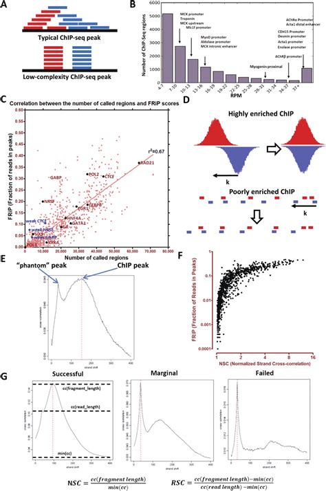 Chip Seq Guidelines And Practices Of The Encode And Modencode Consortia