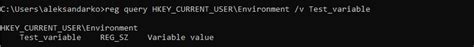 Set Environment Variable In Windows {how To} Phoenixnap Kb