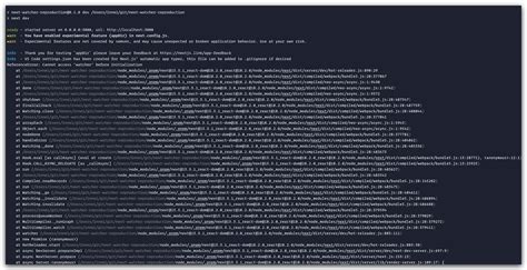 when using webpack hook in appdir mode got referenceerror cannot
