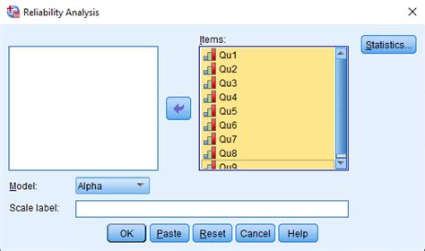 Cronbachs Alpha In Spss Statistics Procedure Output And