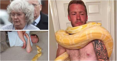 mother kept python that killed her son and insists that it