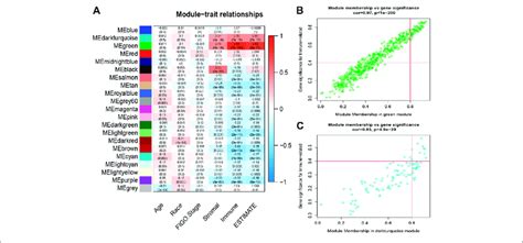 Analysis Of Key Immune Related Modules A The Correlation Between