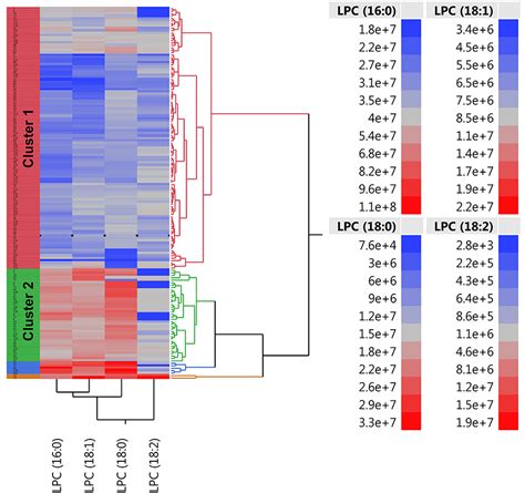 frontiers metabolomic signature of early vascular aging eva in