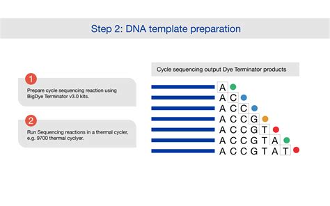 Sanger Dna Sequencing Poochon Scientific