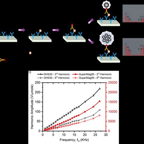 A Schematic Representation Of A Surface Conjugation Based Mps