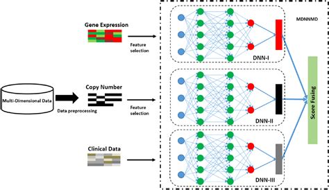 A Multimodal Deep Neural Network For Human Breast Cancer Prognosis