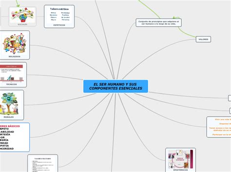 El Ser Humano Y Sus Componentes Esenciales Mind Map